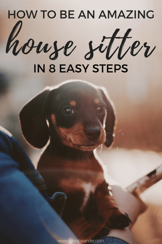How To Be An Amazing House Sitter In 8 Easy Steps! | See Nic Wander
