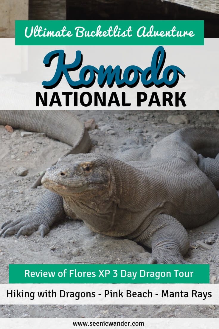 The Best Komodo Island Tour: Finding Dragons in Komodo National Park ...