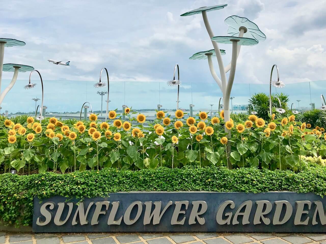 I Spent 20 Hours In The Singapore Airport And It Was Awesome! | See Nic ...
