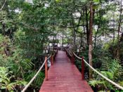 Best Hostel In Bocas Del Toro, Panama: Selina Red Frog Review | See Nic ...