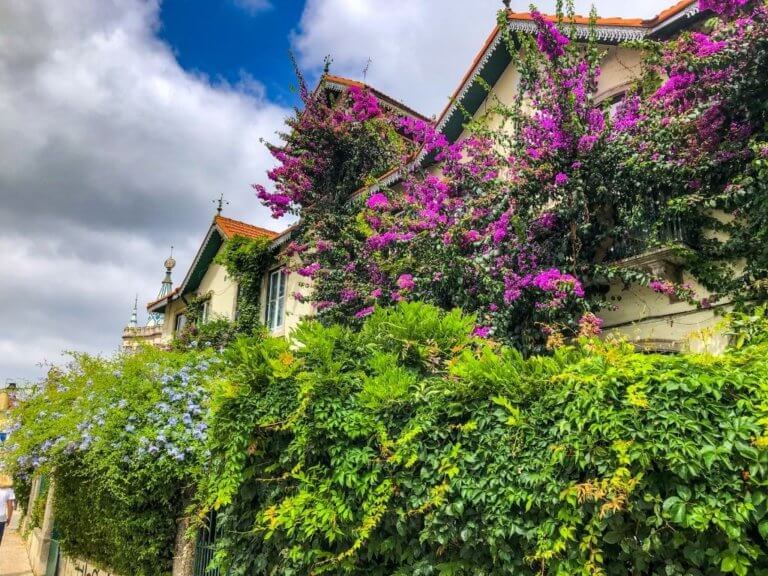 How to Plan a Perfect Lisbon to Sintra Day Trip Itinerary 2024 | See ...